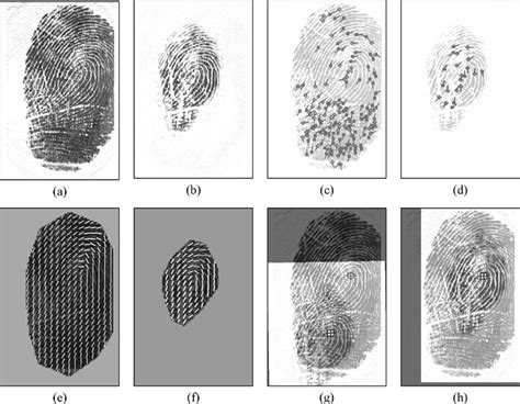 fingerprint alignment with the minutiae based method and the download scientific diagram