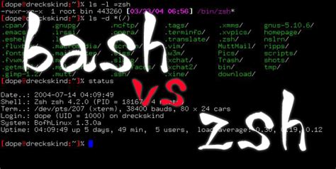 Zsh Vs Bash Features And Differences KaliTut