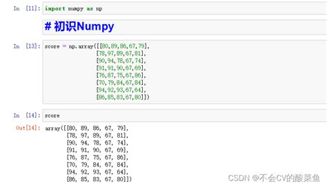 科学计算库——numpy基本操作 numpy常用于数组操作和科学计算吗 csdn博客