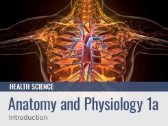Courses Edynamic Learning
