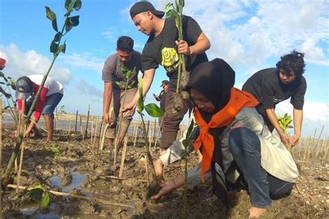 Peringati Hari Bumi Mahasiswa Jateng Tanam 6 500 Mangrove ANTARA News
