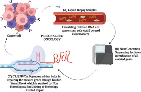 represents the application of next generation sequencing ngs and download scientific diagram