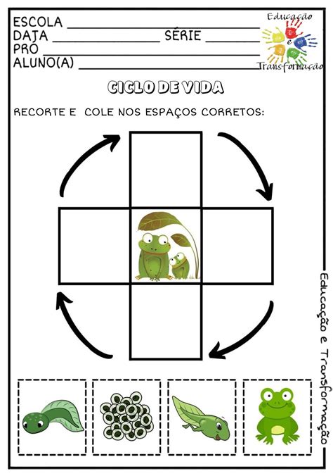 Blog Educação e Transformação Ciências ciclo de vida Ciclos de