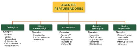 Cómo afecta el no contar con brigadas en las empresas Lofton