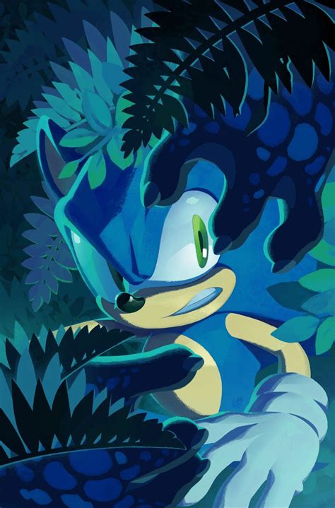 Safe Artist Evan Stanley Sonic The Hedgehog Cover Art