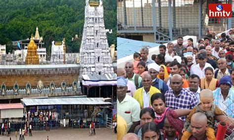 తరమలల కనసగతనన భకతల రదద The Rush Of Devotees Continues To