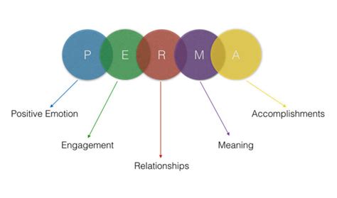 Perma Model Di Martin Seligman Psicologia Positiva IEPP