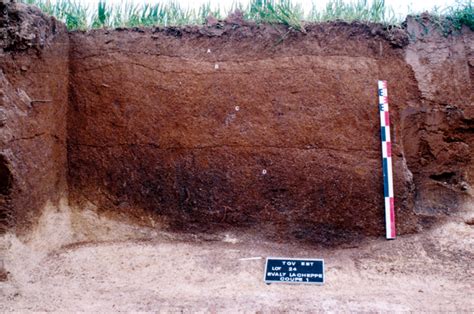 Les Sarts Archéologie de la Ligne à Grande Vitesse est Inrap