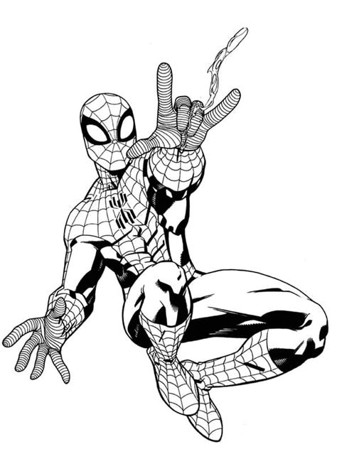 Spiderman Sembra Fantastico Da Colorare Scarica Stampa O Colora