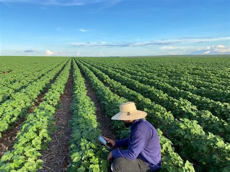 O agronegócio no Brasil onde chegamos e o que esperar em 2023
