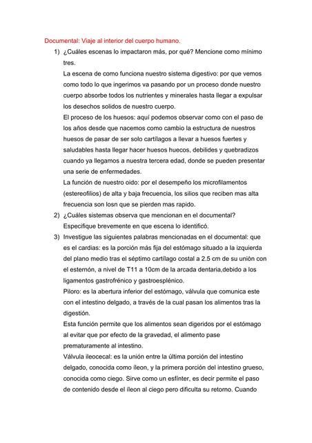 VIAJE AL INTERIOR DEL CUERPO Janna UDocz
