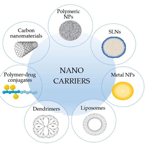 Schematic Representation Of The Most Important Nanocarriers Reported In