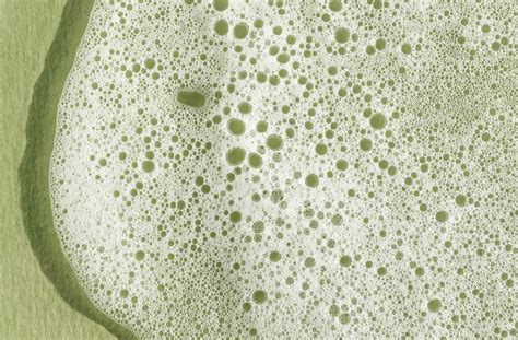 5 Regeln Um Greenwashing Zu Vermeiden BIOvative