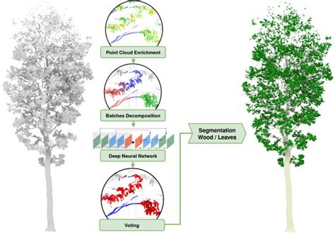 Segmentation Of Unbalanced And In Homogeneous Point Clouds And Its