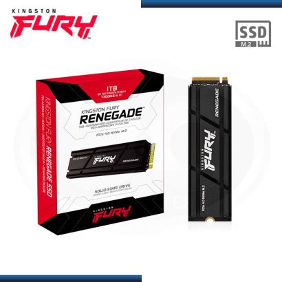 KINGSTON FURY RENEGADE