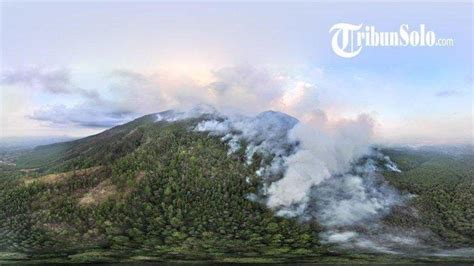 PENAMPAKAN Pilu Gunung Lawu Yang Terbakar Semakin Meluas Hingga 1100