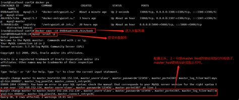 docker下搭建mysql主从复制 csdn博客