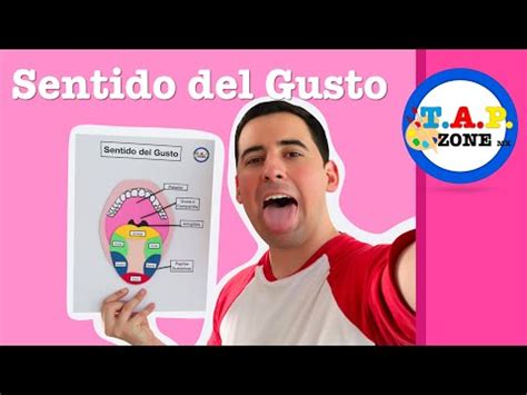Como Hacer La Maqueta Del Sentido Del GUSTO TAP ZONE Mx YouTube