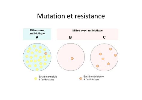 Bactérie et résistance bactérienne aux antibiotiques AlloSchool