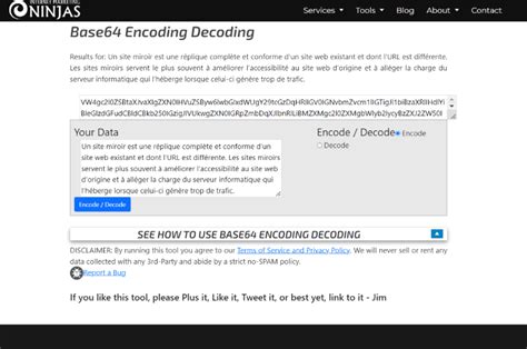 Codificaci N Y Decodificaci N Base Internet Marketing Ninjas Twaino