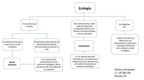 Mapa Conceptual De La Ecologia Brainly Lat