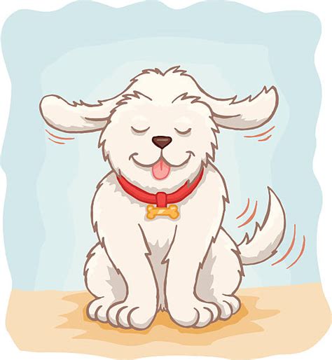 Hund Schüttelt Sich Illustrationen Und Vektorgrafiken Istock
