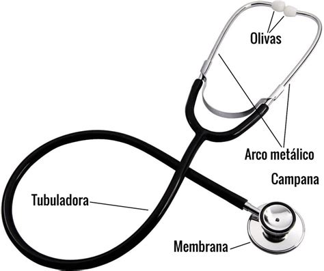 Qu Es Un Estetoscopio Mundo Estetoscopio