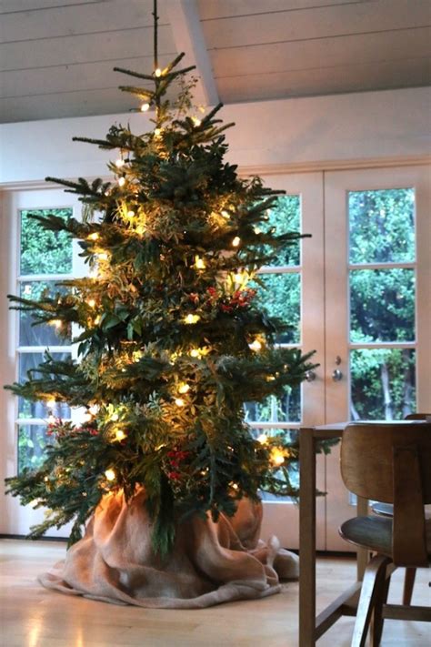 Comment choisir son sapin de Noël conseils de pro pour élire son conifère