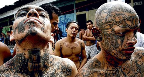 Pandillas de El Salvador Dos mil muertes por año y un problema