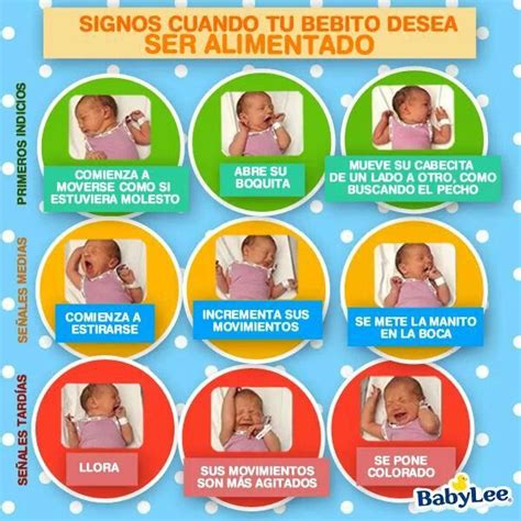 Signos Que Indican Que Tu Bebe Tiene Hambre Bebe Lactancia Materna