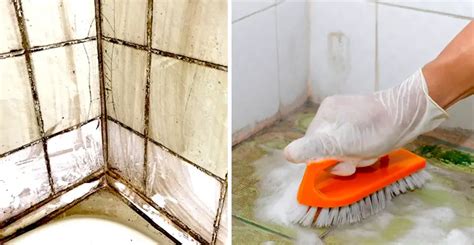 Cómo limpiar las manchas y moho de los azulejos del baño con vinagre