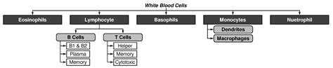 sensors free full text a review on immune inspired node fault detection in wireless sensor