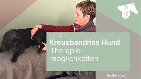 Teil 2 Kreuzbandriss beim Hund Therapiemöglichkeiten YouTube