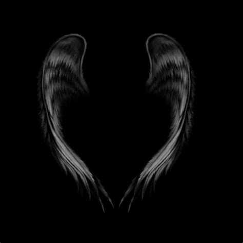 Black And White Angel Wings Wallpaper