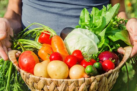 Imagenes De Vegetales Y Frutas