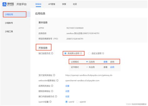 springboot实现支付宝沙箱支付 springboot支付宝沙箱支付 csdn博客