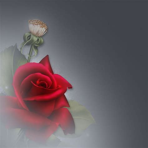Pin By Luna Yuyin On Luna Yuyin Flower Background Design Flower