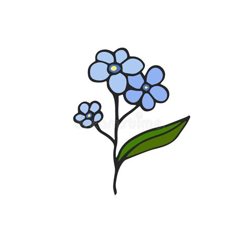 Flor De La Nomeolvides Planta Herbaria Etiqueta Engomada Linda Del
