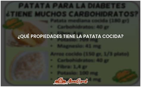Beneficios De La Patata Cocida Propiedades Y Usos ALMARURAL