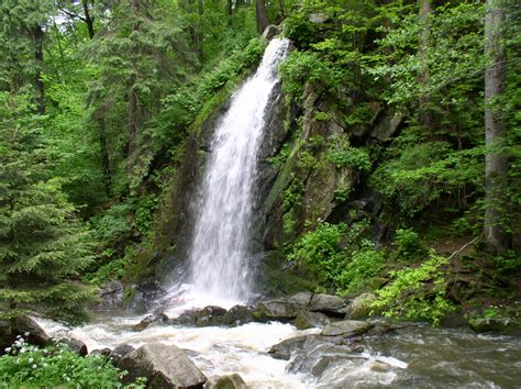 Terčino údolí pod hradem Nové Hrady není jen přírodní ale také
