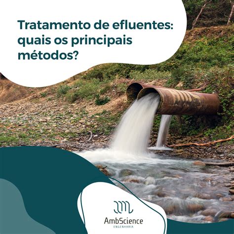 Qual Acao Minimiza A Permanencia Desses Contaminantes Nos Recursos