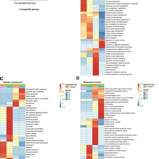 Protein Domain And Kegg Pathway Analysis Of Differentially Expressed