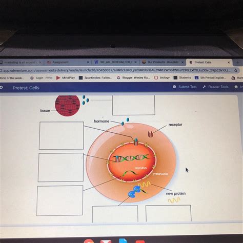 Drag Each Label To The Correct Location On The Diagram Identify How A