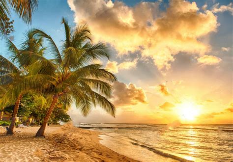 Wschód słońca morze zachód słońca palma zdjęcie plaży tło studyjne