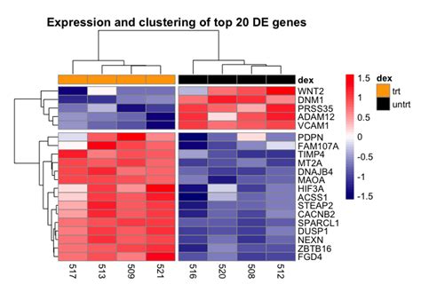 Lesson5 Visualizing Clusters With Heatmap And Dendrogram Data