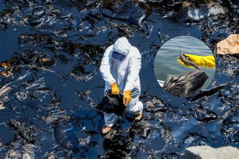 Per Ya Son Las Playas Contaminadas Por El Derrame De Petr Leo