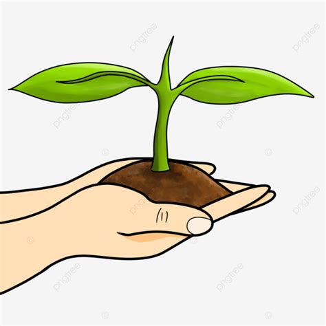 Cartoon Hand Holding A Plant Growing On The Ground Hand Clipart Plant