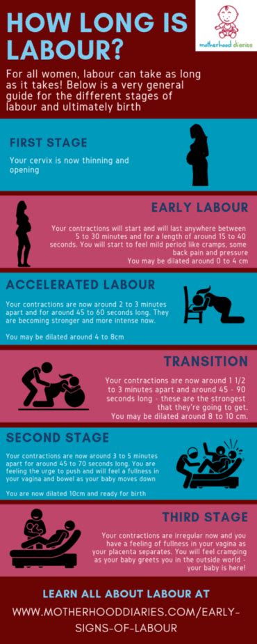 What Are The First Signs Of Whelping