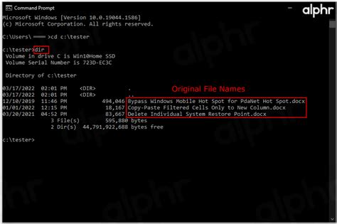 prevlek prospešný neobsadený script to rename files in a folder piano