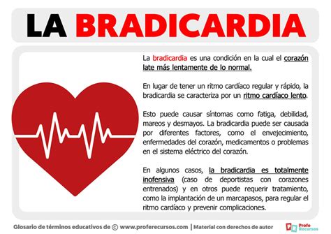 Qu Es La Bradicardia Definici N De Bradicardia